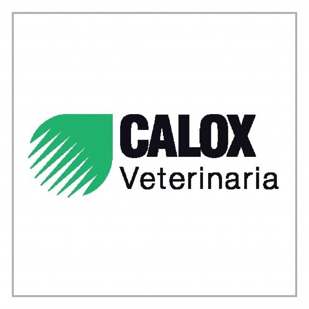 Calox International